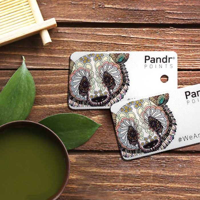 Plastic Key Ring Cards - Premier Eco Cards